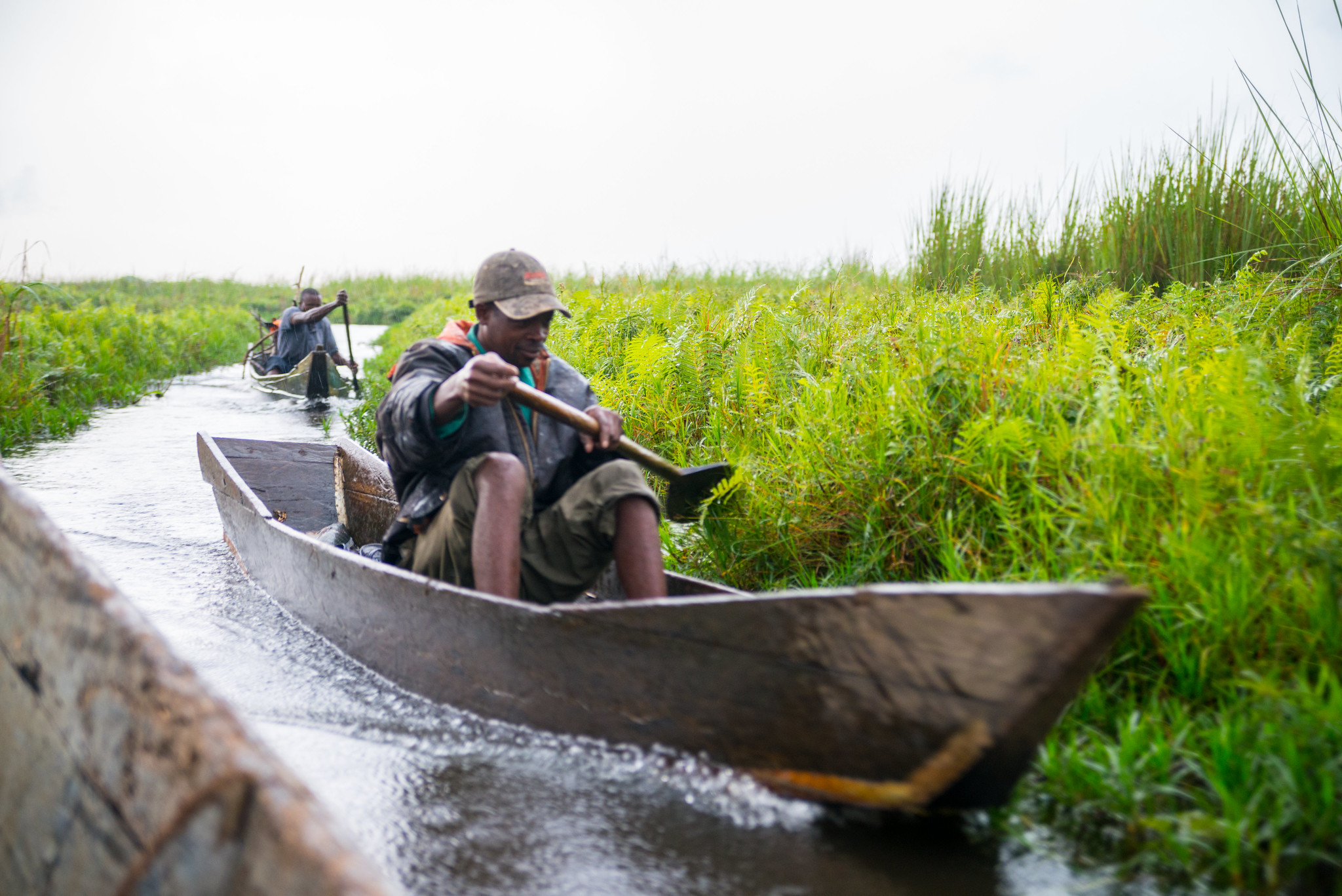 Mabamba Swamp Shoebill Uganda: The Ultimate Birding Safari